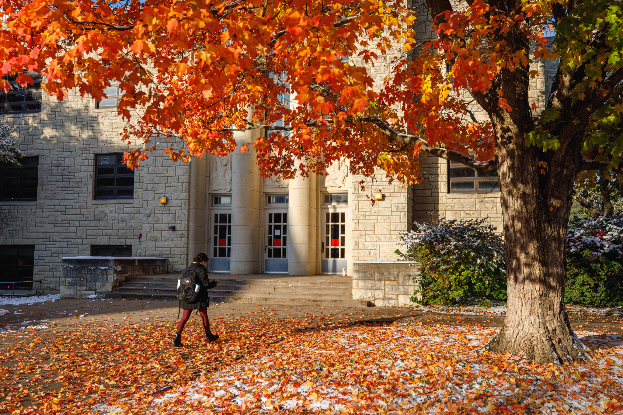 Contact Us | Environmental Studies Program